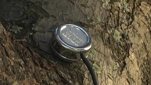 Mogees, l’instrument franco-anglais qui révolutionne la musique – La ...